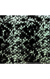 &nbsp;&nbsp;&nbsp; "【8CD＋DVD　ブックレット付】RATTLESNAKE　BOX　THE　MODS　Tracks　in　Antinos　Years　完全生産限定盤　（Blu−specCD2）" の詳細 発売元: 株式...