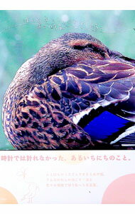 &nbsp;&nbsp;&nbsp; ぼくらはこうして生きている。 単行本 の詳細 カテゴリ: 中古本 ジャンル: 料理・趣味・児童 写真 出版社: 新風舎 レーベル: 作者: よこいちえ カナ: ボクラハコウシテイキテイル / ヨコイチエ...