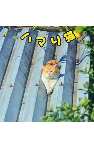 &nbsp;&nbsp;&nbsp; ハマり猫 (単行本) の詳細 出版社: ジーウォーク レーベル: 作者: にゃんこ編集部【編】 サイズ: 単行本 ISBN: 9784867174449 発売日: 2022/07/15 関連商品リンク ...