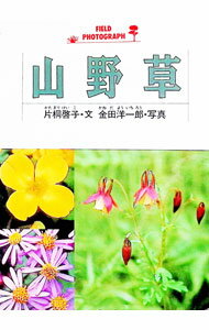 &nbsp;&nbsp;&nbsp; 山野草 文庫 の詳細 カテゴリ: 中古本 ジャンル: 産業・学術・歴史 植物 出版社: 西東社 レーベル: Field　photograph 作者: 片桐啓子 カナ: サンヤソウ / カタギリケイコ サ...