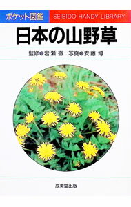 &nbsp;&nbsp;&nbsp; 日本の山野草 文庫 の詳細 カテゴリ: 中古本 ジャンル: 産業・学術・歴史 植物 出版社: 成美堂出版 レーベル: ポケット図鑑 作者: 岩瀬徹【監修】 カナ: ニホンノサンヤソウ / イワセトオル ...