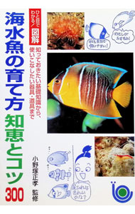 &nbsp;&nbsp;&nbsp; 海水魚の育て方知恵とコツ300 単行本 の詳細 カテゴリ: 中古本 ジャンル: 女性・生活・コンピュータ 熱帯魚の本 出版社: 主婦と生活社 レーベル: ひと目でわかる！図解 作者: 主婦と生活社 カナ...