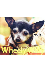 &nbsp;&nbsp;&nbsp; ウィリー 単行本 の詳細 カテゴリ: 中古本 ジャンル: 女性・生活・コンピュータ 犬の本 出版社: キッズネット レーベル: 作者: 鈴木香織 カナ: ウィリー / スズキカオリ サイズ: 単行本 I...