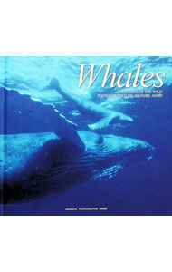 &nbsp;&nbsp;&nbsp; Whales 単行本 の詳細 カテゴリ: 中古本 ジャンル: 産業・学術・歴史 動物 出版社: 青菁社 レーベル: Seiseisha　photographic　se 作者: 案納昭則 カナ: ホエール...