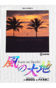 &nbsp;&nbsp;&nbsp; 風の大地 35 B6版 の詳細 カテゴリ: 中古コミック ジャンル: 青年 出版社: 小学館 レーベル: ビッグコミックオリジナル 作者: かざま鋭二 カナ: カゼノダイチ / カザマエイジ サイズ: ...