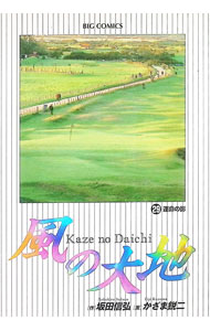 &nbsp;&nbsp;&nbsp; 風の大地 29 B6版 の詳細 カテゴリ: 中古コミック ジャンル: 青年 出版社: 小学館 レーベル: ビッグコミックオリジナル 作者: かざま鋭二 カナ: カゼノダイチ / カザマエイジ サイズ: ...