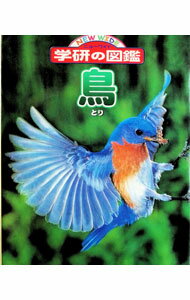&nbsp;&nbsp;&nbsp; 鳥 単行本 の詳細 カテゴリ: 中古本 ジャンル: 産業・学術・歴史 動物 出版社: 学習研究社 レーベル: ニューワイド学研の図鑑 作者: 学習研究社 カナ: トリ / ガクシュウケンキュウシャ サイ...