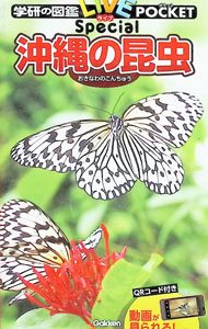 &nbsp;&nbsp;&nbsp; 沖縄の昆虫 単行本 の詳細 カテゴリ: 中古本 ジャンル: 産業・学術・歴史 動物 出版社: 学研プラス レーベル: 作者: 槐真史 カナ: オキナワノコンチュウ / エンジュマサシ サイズ: 単行本 ...