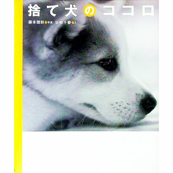 &nbsp;&nbsp;&nbsp; 捨て犬のココロ 単行本 の詳細 カテゴリ: 中古本 ジャンル: 女性・生活・コンピュータ 犬の本 出版社: WAVE出版 レーベル: 作者: 坂崎千春 カナ: ステイヌノココロ / サカザキチハル サイ...