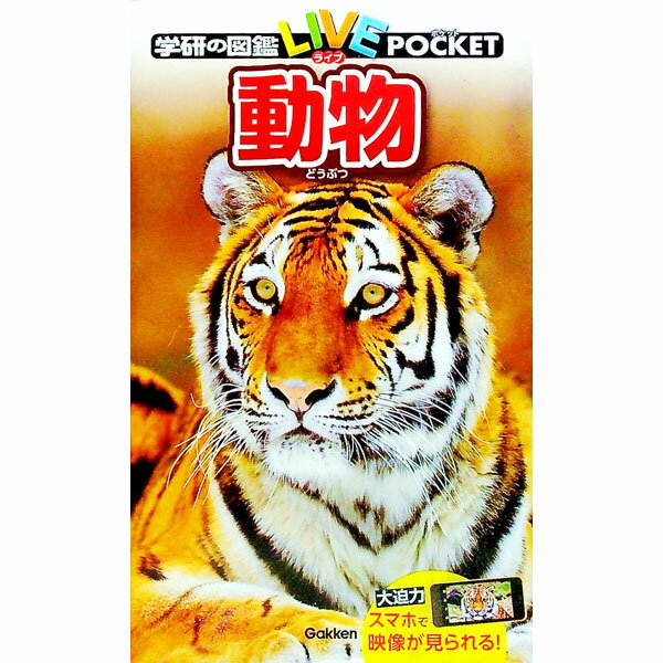 &nbsp;&nbsp;&nbsp; 動物 単行本 の詳細 世界と日本にすむ動物（哺乳類・爬虫類・両生類）約600種を地域別に掲載。写真やデータとともに、特徴や観察のポイントなどを説明する。スマートフォンをかざすと動画が見られるマーク付き。...