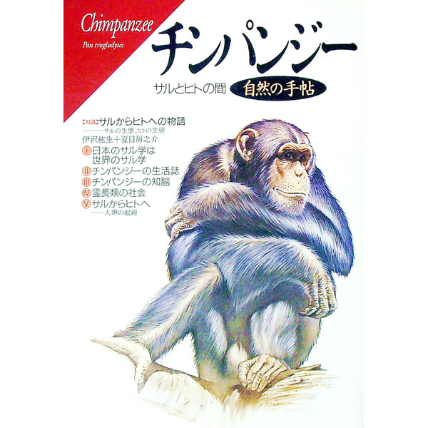 &nbsp;&nbsp;&nbsp; チンパンジー 単行本 の詳細 カテゴリ: 中古本 ジャンル: 産業・学術・歴史 動物 出版社: 立風書房 レーベル: 自然の手帖シリーズ 作者: 立風書房 カナ: チンパンジー / タチカゼショボウ サ...