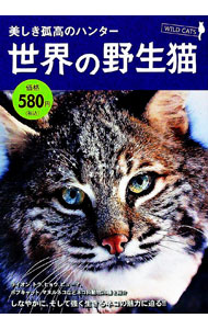 &nbsp;&nbsp;&nbsp; 美しき孤高のハンター　世界の野生猫 単行本 の詳細 カテゴリ: 中古本 ジャンル: 産業・学術・歴史 生物学 出版社: ファミマ・ドット・コム レーベル: 作者: エディング出版編集部 カナ: ウツクシ...