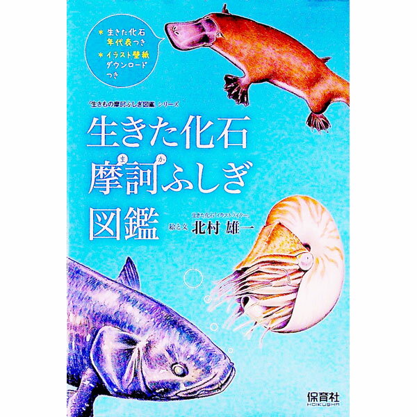 &nbsp;&nbsp;&nbsp; 生きた化石摩訶ふしぎ図鑑 単行本 の詳細 日本最古参の哺乳類・ニホンヤマネ、古代魚の生き残り・ガー、三日月型の尾鰭をもつレベラトリクス…。さまざまな生きた化石を、カラーイラストとともに紹介します。生きた...