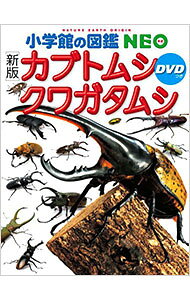 &nbsp;&nbsp;&nbsp; カブトムシ・クワガタムシ (単行本) の詳細 出版社: 小学館 レーベル: 作者: 小池啓一 サイズ: 単行本 ISBN: 4092173163 発売日: 2025/07/01 関連商品リンク : 小池...