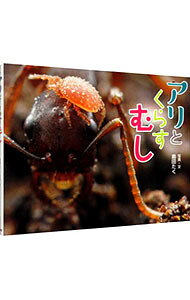 &nbsp;&nbsp;&nbsp; "アリとくらすむし " の詳細 出版社: ポプラ社 レーベル: ふしぎいっぱい写真絵本 作者: 島田拓 カナ: アリトクラスムシ / シマダタク サイズ: 単行本 関連商品リンク : 島田拓 ポプラ社 ...