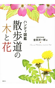 &nbsp;&nbsp;&nbsp; 散歩道の木と花 単行本 の詳細 614種類の樹木と野草を743点のカラー写真で紹介したハンディ図鑑。季節ごとにわかりやすく配列し、夏や秋の実と秋に色づく紅葉も掲載。馴染みのものから新顔まで、身近で見かけ...