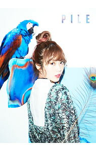 &nbsp;&nbsp;&nbsp; 【CD＋DVD】PILE　初回限定盤B の詳細 発売元:JVCケンウッド・ビクターエンタテインメント株式会社 アーティスト名:Pile ディスク枚数: 2枚 品番: VIZL953 発売日:2016/0...