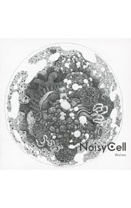 &nbsp;&nbsp;&nbsp; "【CD＋DVD】Wolves　初回盤" の詳細 発売元: 株式会社バップ アーティスト名: NoisyCell カナ: ウルヴズショカイバン WOLVES / ノイジーセル NOISYCELL ディス...