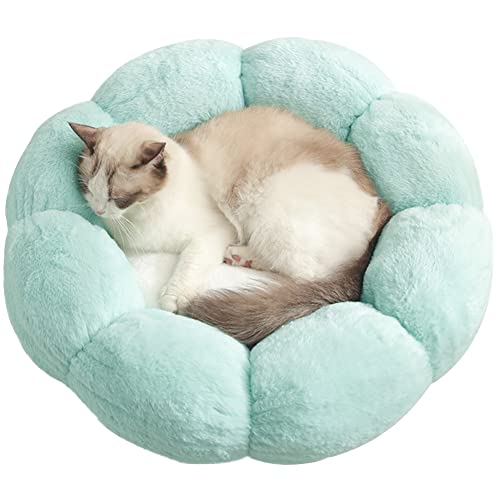 Bidason ペット ベッド 犬 クッション 花型 もこもこ ふわふわ 可愛い 暖かい ラウンド ふかふか 寝床 丸洗い可 小型 猫 兼用 滑り止め 防寒 ドーナツ型 ソファ ペット用品 秋 冬ブランド: Bidasonメーカー: Bid...