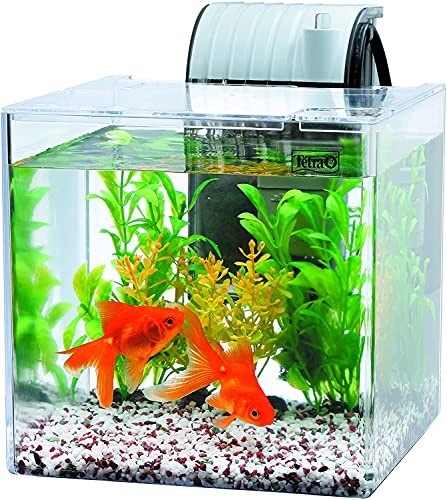 テトラ (Tetra) テトラ 静かな金魚飼育セット SF-17GF 水槽 アクアリウムブランド: Tetraメーカー: スペクトラム ブランズ ジャパンJAN: 4571269551771テトラ (Tetra) テトラ 静かな金魚飼育セッ...
