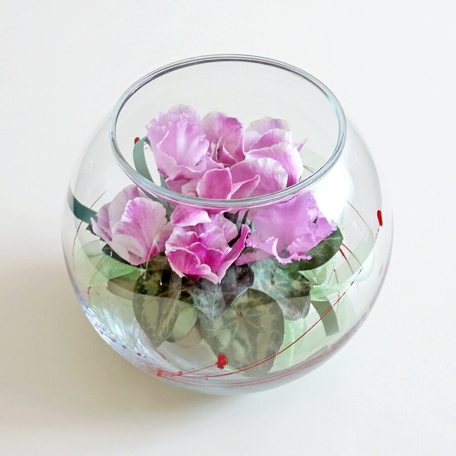 説明「シクラメン」をあしらった優美で豪華なボトルフラワーです。本物のシクラメンをデザイナーが1本1本丁寧にドライ加工し、アレンジしています。和室にも洋室にもなじみやすく、枯れる心配もありません。サイズ約 直径18cm×高さ16.5cm材質容...