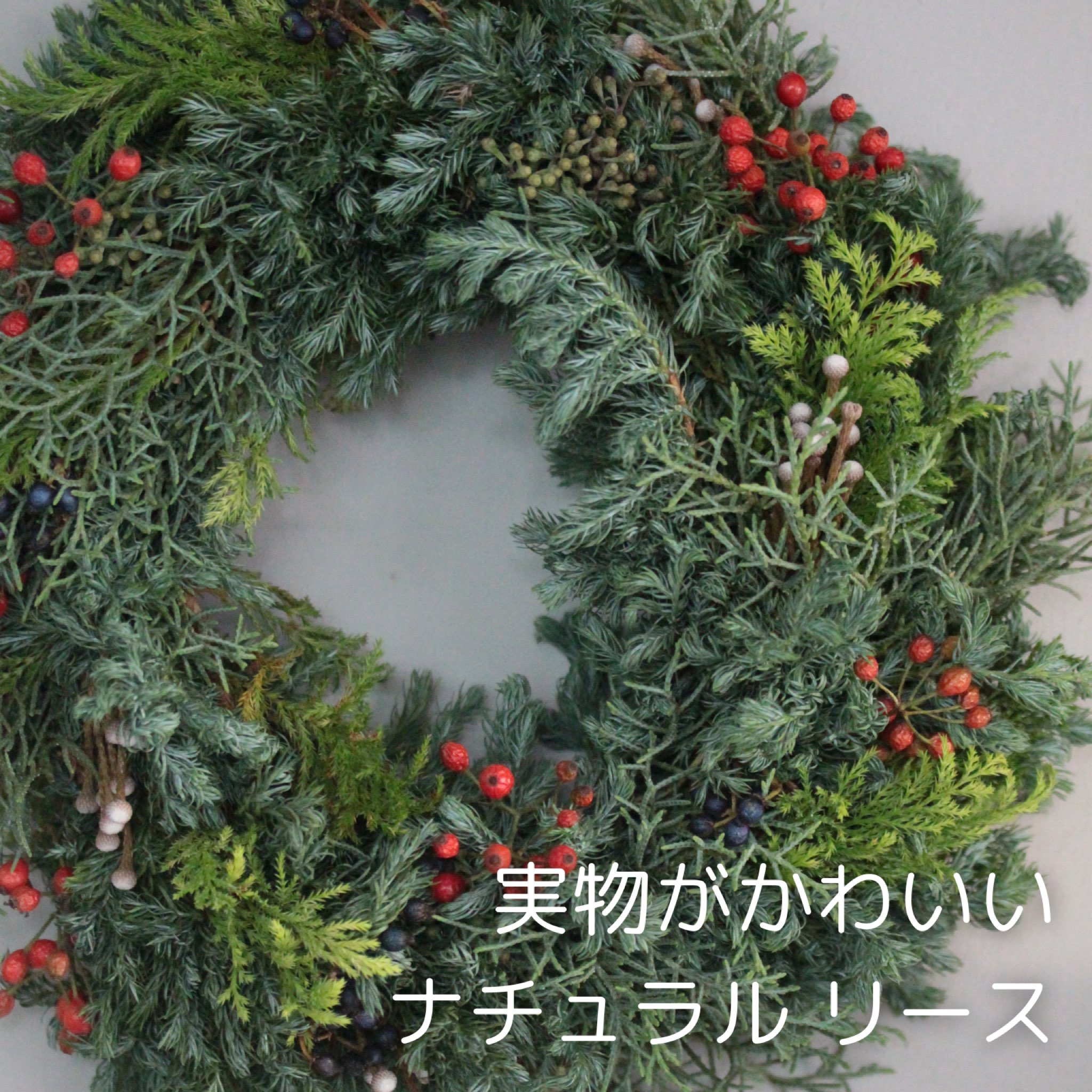 商品情報発送営業日5日以内※火曜定休日のため、火曜日に発送できかねます。水曜日を到着指定の場合、基本的に月曜日に発送いたします。無事に届く花材でお作りしますが、ご了承くださいませ。花の種類ヒムロスギブルーアイス他※写真はイメージとなります。...