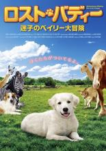 &nbsp;出　演&nbsp;ブラッド・ホーキンス／ゴールデンレトリーバー(ラクダ)／シマウマ(カンガルー)／レッサーパンダ&nbsp;監　督&nbsp;スティーヴ・フランク&nbsp;制作年、時間&nbsp;2010年&nbsp;90分&...