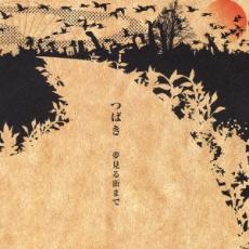 &nbsp;JAN&nbsp;4571106704827&nbsp;品　番&nbsp;YRCN11062&nbsp;出　演&nbsp;つばき&nbsp;制作年、時間&nbsp;2005年&nbsp;49分&nbsp;製作国&nbsp;日本&...