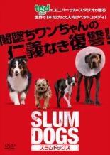 &nbsp;出　演&nbsp;ウィル・フォーテ(ダグ)／ジョシュ・ギャッド／ハーヴィー・ギレン／ブレット・ゲルマン／ロブ・リグル／ジェイミー・デメトリウ／ソフィア・ベルガラ／ウィル・フェレル(レジー)／ジェイミー・フォックス(バグ)&nbs...