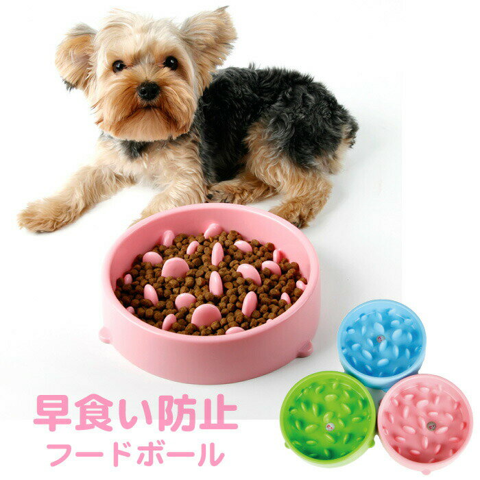 商品説明商品説明デコボコのある構造で早食いを防止します。食事に時間がかかるように設計されております。サイズ：φ20*5cm注意事項※送料無料は宅配便のみとさせて頂きます配送方法に代金引換をご選択した場合、代引手数料が加算されますのでご注意下...