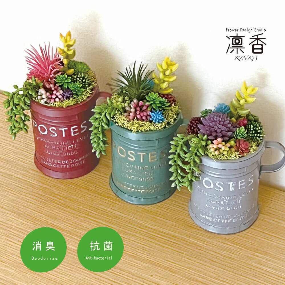 楽天市場】多肉植物 寄せ植え アンティークの通販 楽天市場】多肉植物 寄せ植え アンティークの通販