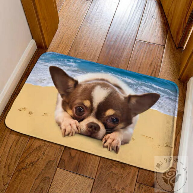 商品説明 サイズ：40x60（cm)厚さ：0.6cm素材表地：ポリエステル100％裏面：不織布(PVC点滑り止め)（50x80、60x90もあります）☆発送の際、折り畳んでの発送となりますので、ご理解の上ご購入お願い致します。☆☆★★★★★...