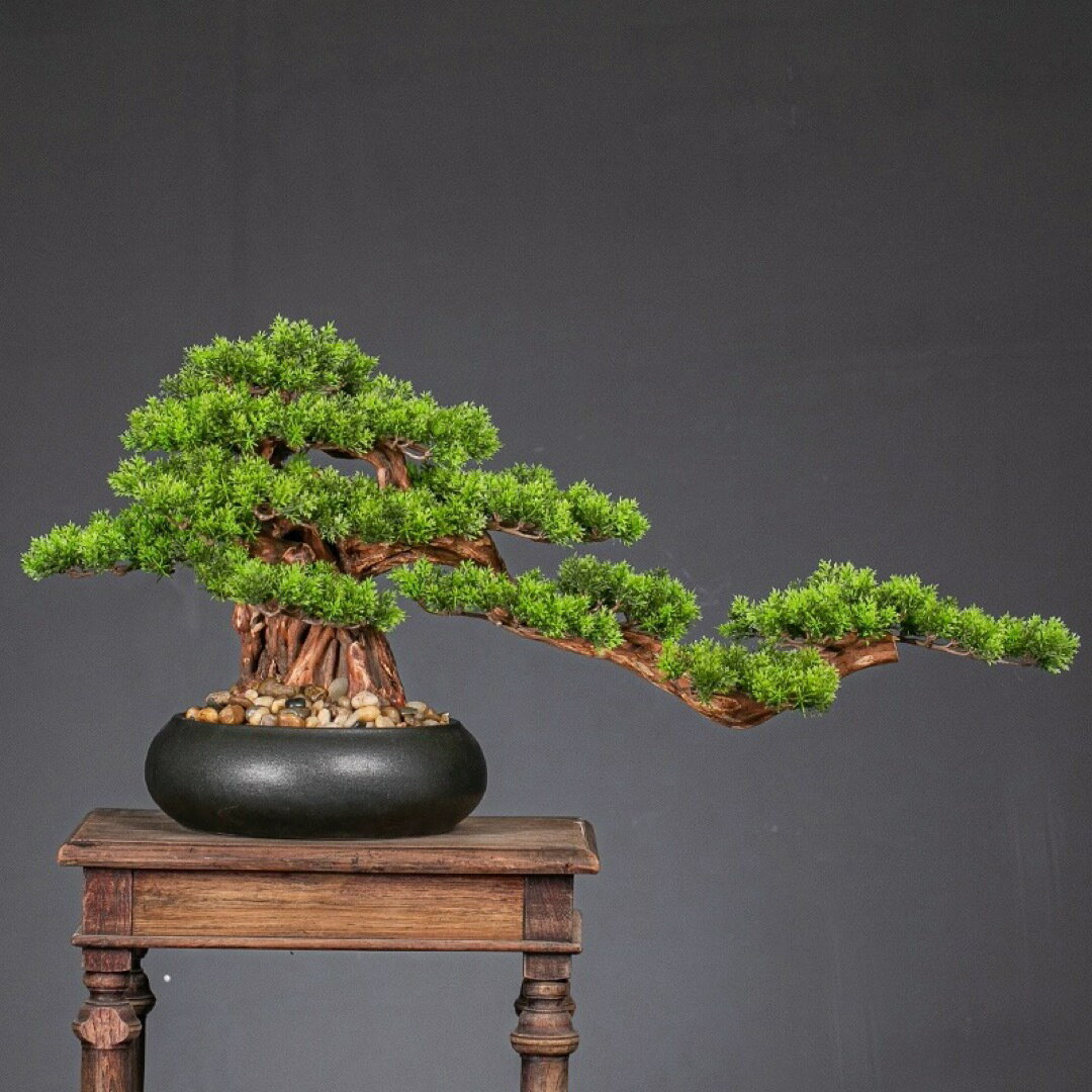 商品説明 葉の材質：エコプラスチック+セラミック幹の材質：自然木（特殊加工）鉢の材質：陶器製サイズ:幅78&nbsp;x&nbsp;高さ36&nbsp;(cm)※素人計測ですので多少の誤差があるかと思いますのでご了承願います。※ハンドメイド...