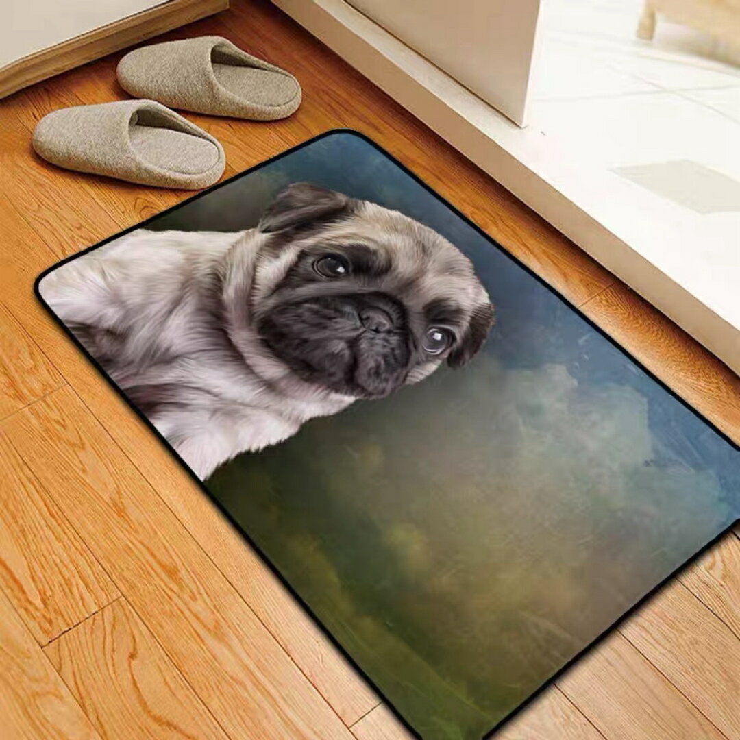 商品説明 サイズ：40x60（cm)厚さ：0.6cm素材表地：ポリエステル100％裏面：不織布(PVC点滑り止め)下記サイズもありますので、どうぞお問い合わせください。（50x80、60x90、120x80、160x100）☆発送の際、折り...