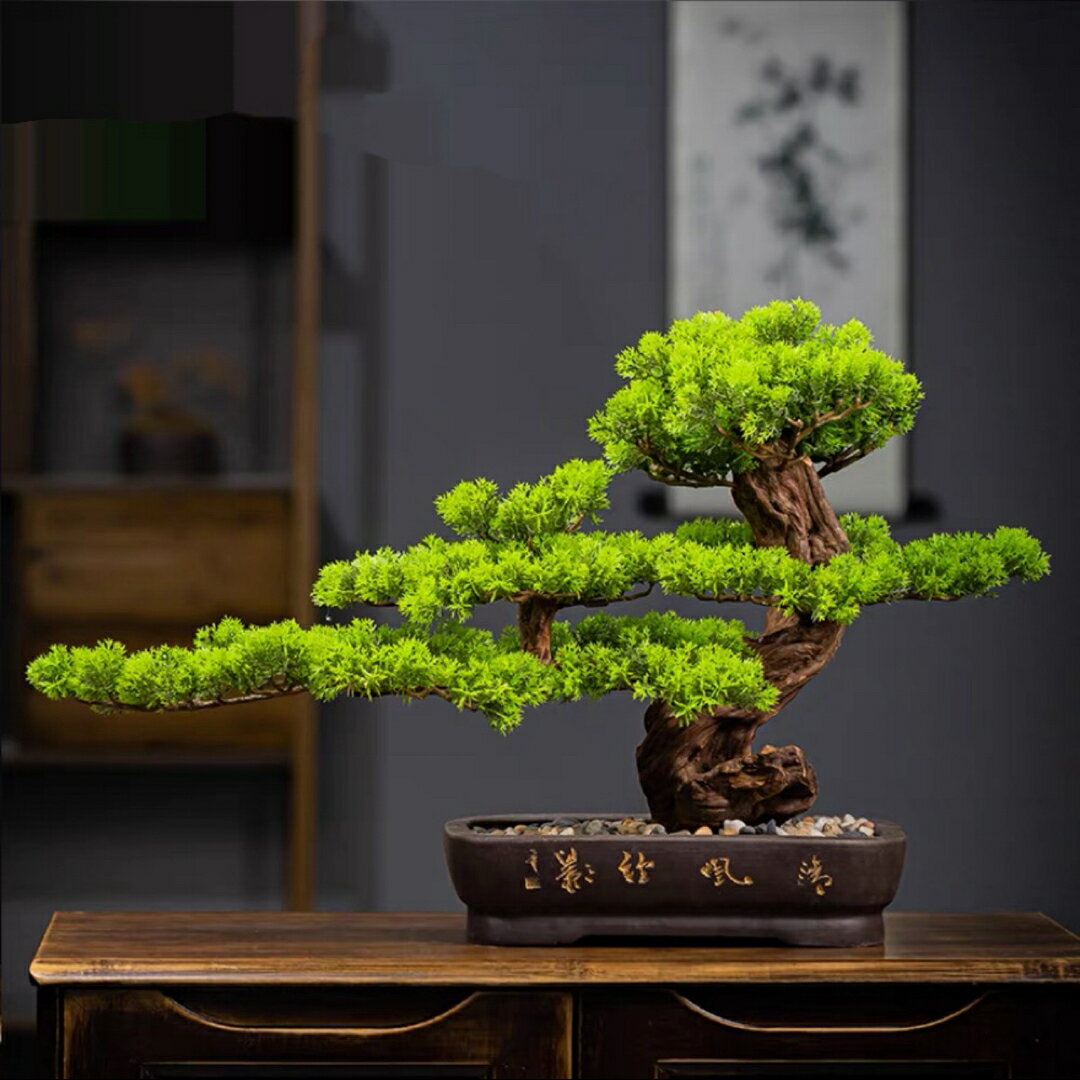 商品説明 葉の材質：エコプラスチック+セラミック幹の材質：自然木（特殊加工）鉢の材質：陶器製サイズ:幅70&nbsp;x&nbsp;奥行22&nbsp;x&nbsp;高さ40（cm)※天然素材を使用し、ハンドメイドで作成した商品になりますの...