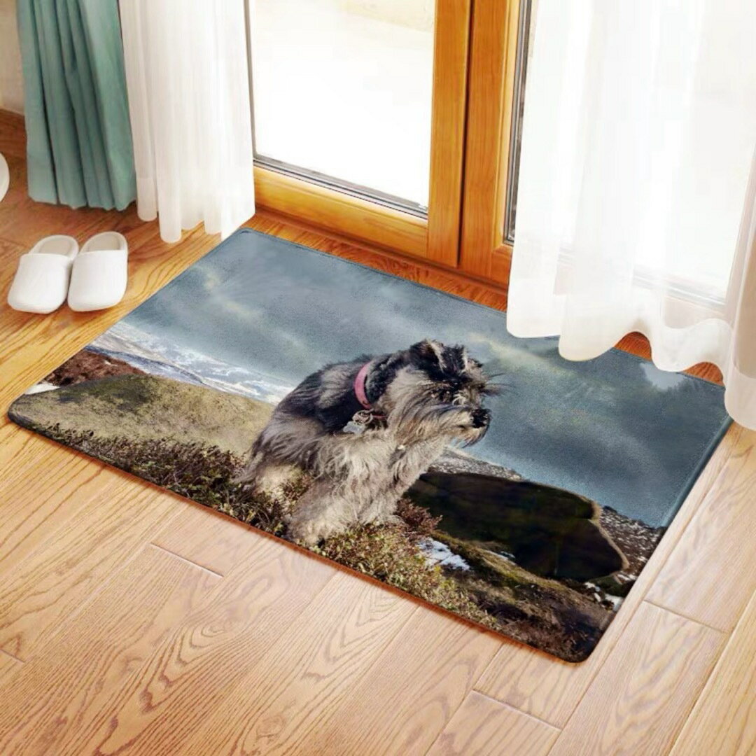 商品説明 厚さ：0.6cmサイズ：40&nbsp;x&nbsp;60（cm)素材：ポリエステル☆発送の際、折り畳んでの発送となりますので、ご理解の上ご購入お願い致します。サイズの違うものもございます。（80x50cm）値段も変ってきますので...