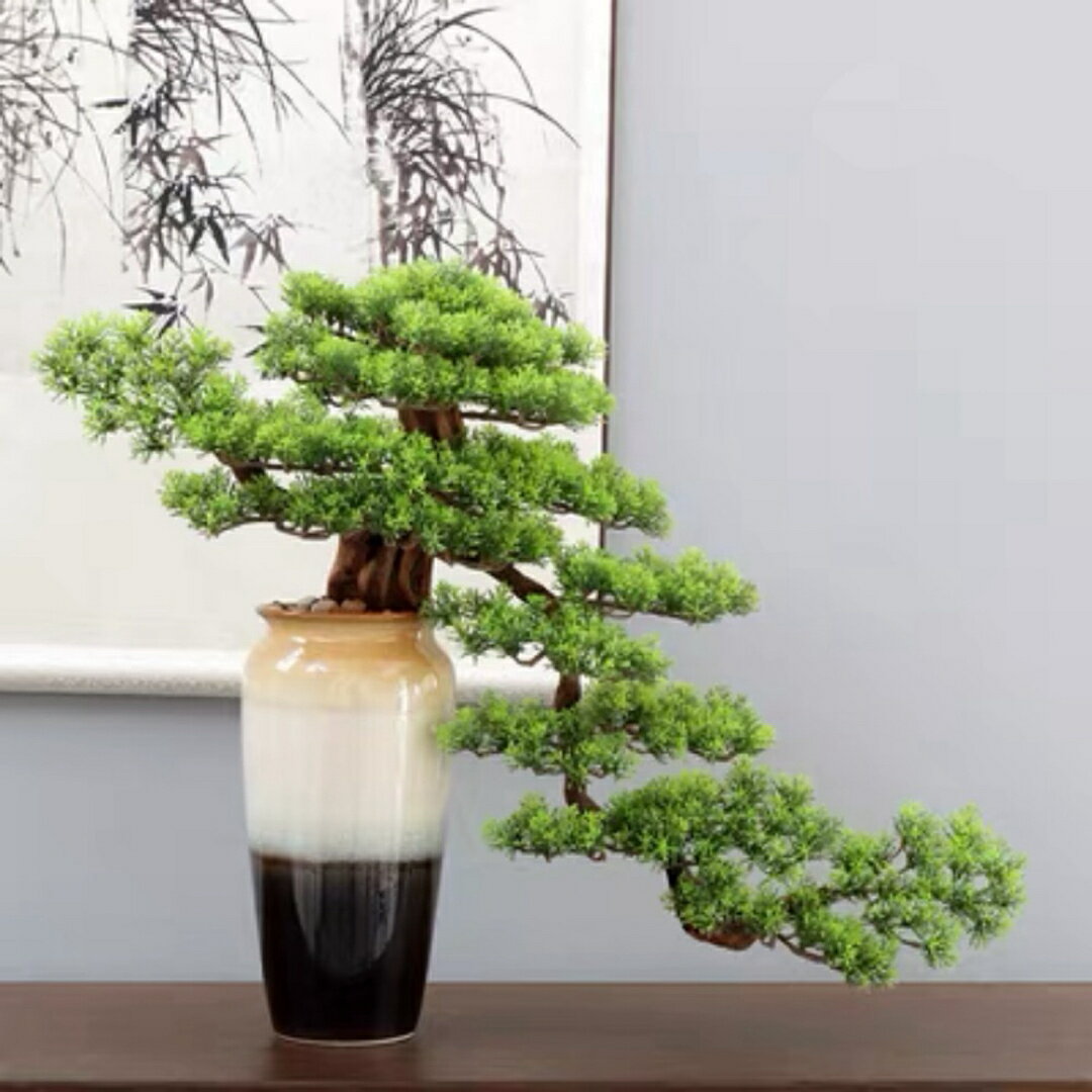 商品説明 葉の材質：エコプラスチック+セラミック幹の材質：自然木（特殊加工）鉢の材質：陶器製全体サイズ:幅80&nbsp;x&nbsp;高さ55&nbsp;(cm)幹の材質：天然素材のため色合いや木の模様など個体差があります。※ハンドメイド...