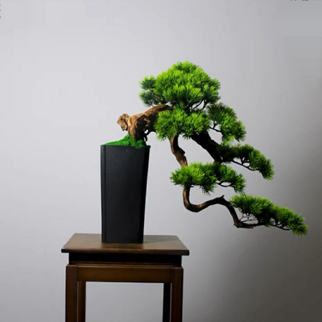 商品説明 葉の材質：エコプラスチック+セラミック幹の材質：自然木（特殊加工）鉢の材質：陶器製全体サイズ:幅50&nbsp;x&nbsp;高さ50&nbsp;(cm)幹の材質：天然素材のため色合いや木の模様など個体差があります。※ハンドメイド...