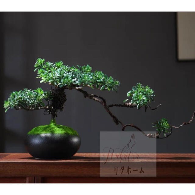 商品説明 葉の材質：エコプラスチック+セラミック幹の材質：自然木（特殊加工）鉢の材質：陶器製サイズ:幅45 x 高さ25 (cm)※ハンドメイドで作成した商品になりますので、そのため製作時期によって若干画像と異なる場合がありますのでご了承く...