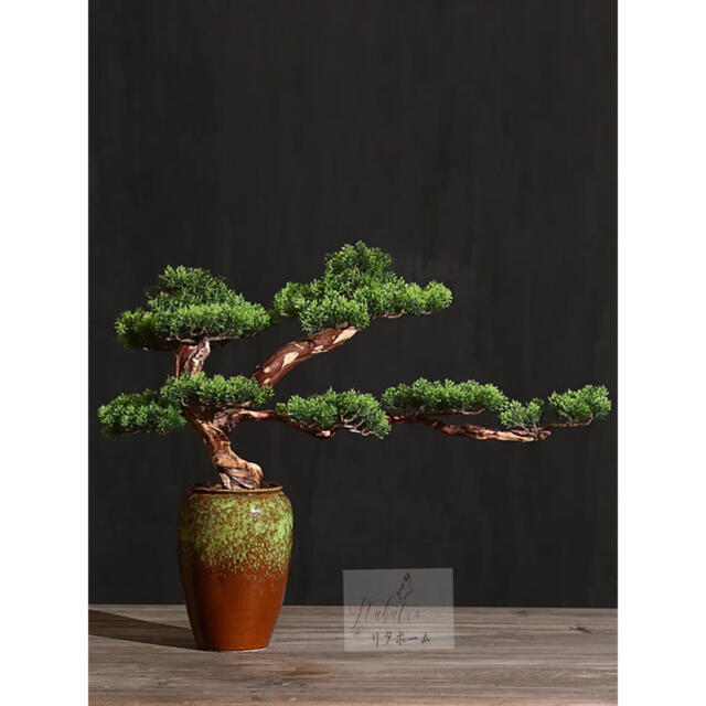 商品説明 葉の材質：エコプラスチック+セラミック幹の材質：自然木（特殊加工）鉢の材質：陶器製サイズ:幅64 x 高さ51 (cm)※ハンドメイドで作成した商品になりますので、そのため製作時期によって若干画像と異なる場合がありますのでご了承く...