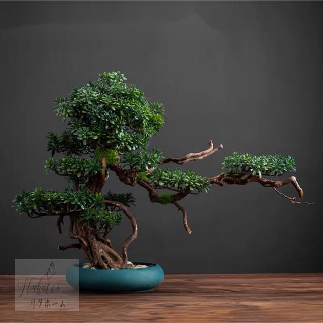 商品説明 葉の材質：エコプラスチック+セラミック幹の材質：自然木（特殊加工）鉢の材質：陶器製サイズ:幅63&nbsp;x&nbsp;高さ43（cm)※天然素材を使用し、ハンドメイドで作成した商品になりますので、そのため製作時期によって若干画...