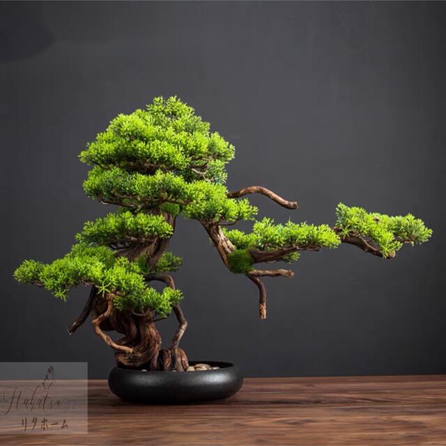 商品説明 葉の材質：エコプラスチック+セラミック幹の材質：自然木（特殊加工）鉢の材質：陶器製サイズ:幅63&nbsp;x&nbsp;高さ43（cm)※天然素材を使用し、ハンドメイドで作成した商品になりますので、そのため製作時期によって若干画...