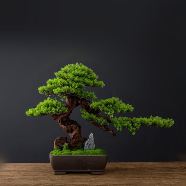 商品説明 葉の材質：エコプラスチック+セラミック幹の材質：自然木（特殊加工）鉢の材質：陶器製サイズ:幅75&nbsp;&nbsp;x&nbsp;奥行21&nbsp;x&nbsp;高さ55（cm)※天然素材を使用し、ハンドメイドで作成した商品...