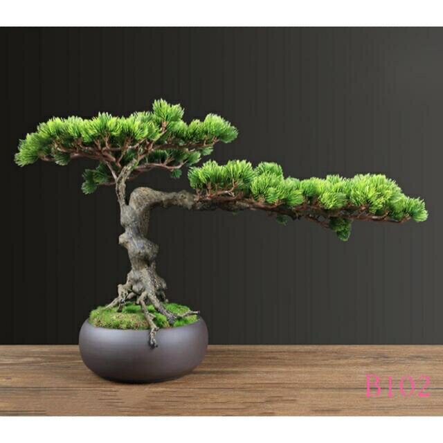 商品説明 葉の材質：エコプラスチック+セラミック幹の材質：自然木（特殊加工）鉢の材質：陶器製サイズ:幅50&nbsp;&nbsp;x&nbsp;奥行25&nbsp;x&nbsp;高さ35（cm)※天然素材を使用し、ハンドメイドで作成した商品...