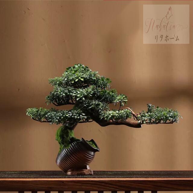 商品説明 葉の材質：エコプラスチック+セラミック幹の材質：自然木（特殊加工）鉢の材質：陶器製サイズ:幅48&nbsp;x&nbsp;奥行20&nbsp;x&nbsp;高さ35（cm)※天然素材を使用し、ハンドメイドで作成した商品になりますの...