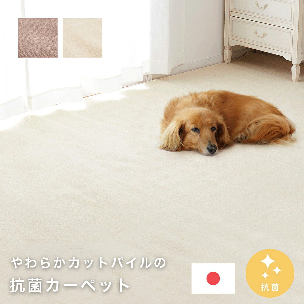 　商品説明 ペット にやさしい 抗菌 カーペット やわらか パイル の抗菌カーペット ふわふわ やわらかなパイルが 気持ちいい 、抗菌機能付きカーペット。 淡い色合い、どんなお部屋にも馴染みやすいデザインです。 安心の抗菌・ 防臭 効果 抗...