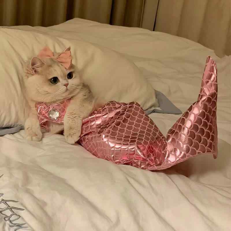 猫用 コスチューム 人魚 尾びれ 飾り おもしろ 写真 撮影 道具 全身タイプ 中小型 ペット コスプレ 遊び着 コメディ スタイル・スタイル: プリンセス・: 背心・カラー展開: ブルー.ピンク・サイズ展開: S.M.L