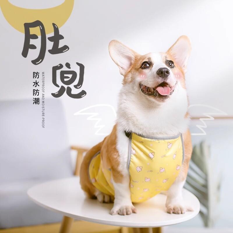 コーギー用 犬用 雨よけ服 お腹カバー 保暖 防汚 夏用 冷え防止 防水 通気性 軽量 アウトドア・カラー展開: イエロー(男性犬用).イエロー(女性犬用).ピンク(男性犬用).ピンク(女性犬用).ブルー(男性犬用).ブルー(女性犬用)・サ...