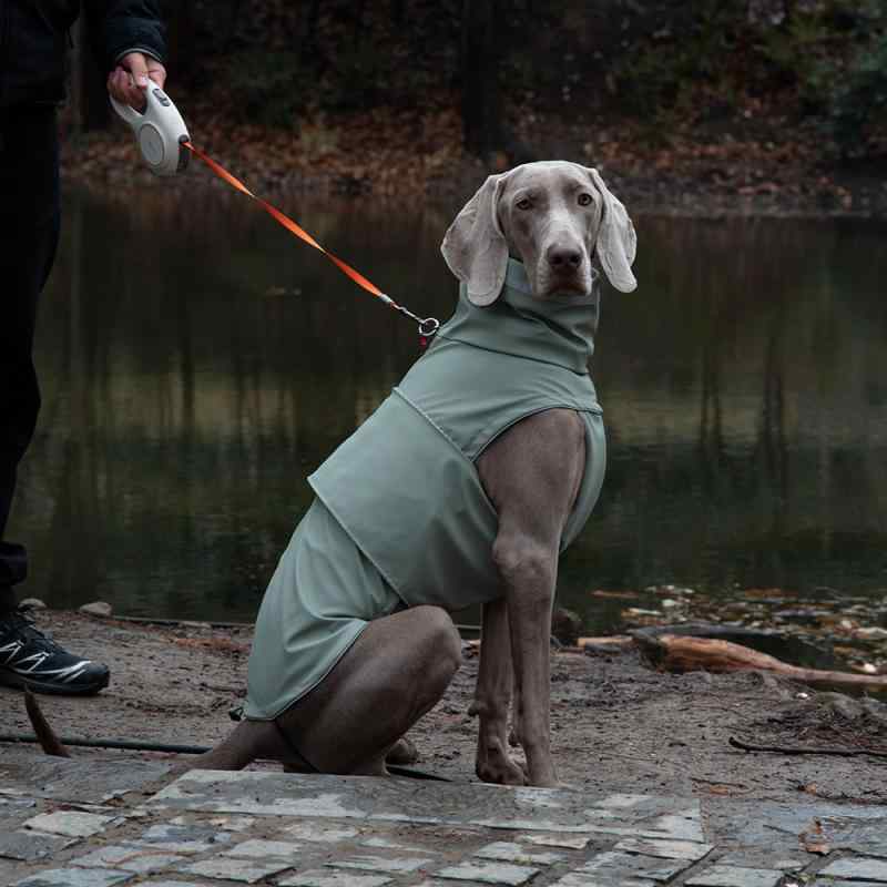 ドッグ レインコート 中大型犬用 ラブラドール ゴールデン レトリバー コーギー 対応 防水 通気性 雨具 ペット用 散歩用 外出用 アウトドア 軽量 折りたたみ フード付き 機能性・スタイル: スポーツ・種類: 雨衣・カラー展開: 黄色....