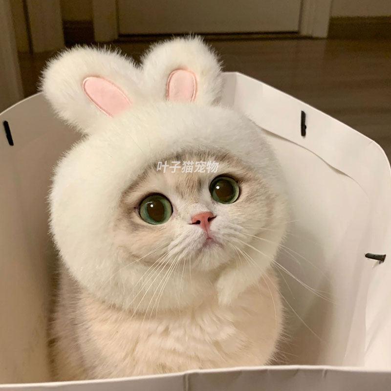 ペット帽子 ウサギ耳付き 猫 犬 対応 かわいい コスプレ ヘッドギア 写真撮影 ポーズ 飾り ファッション アクセサリー キャップ スタイル・対象: 猫・スタイル: 変装帽・カラー展開: 白色兔兔帽.白色大鹅帽.白色兔耳帽・サイズ: 均
